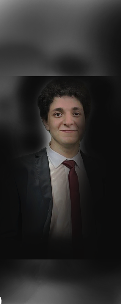 Ahmed Essam Rabie's Portoflio